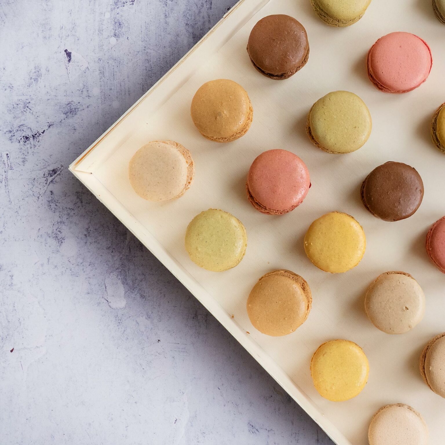 Macarons (42 pièces) - Instant-Lunch